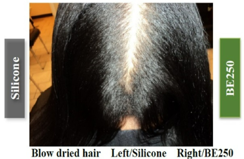 Ingredient Solutions for Bio-based Hair Conditioners | Univar Solutions
